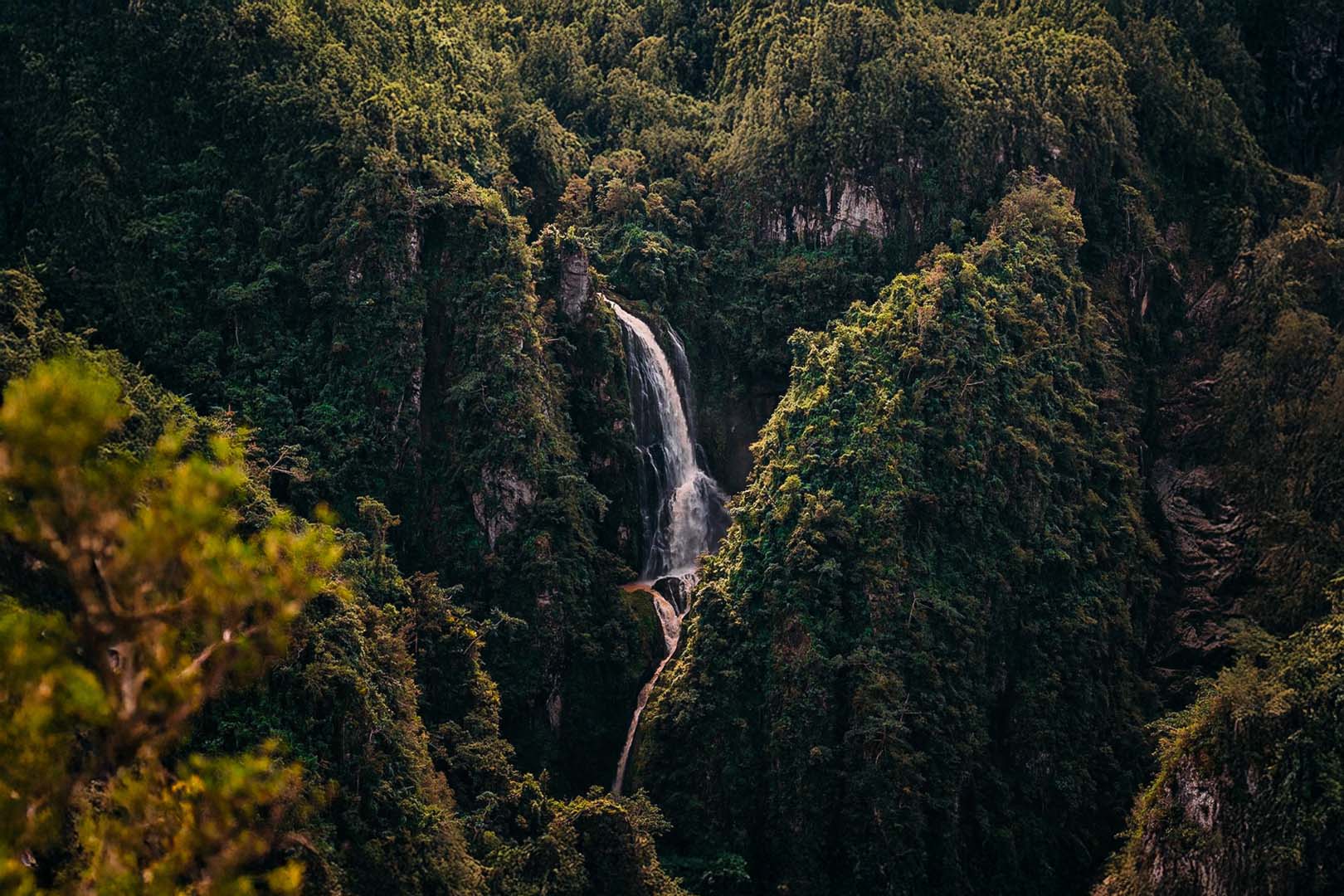 Conoce el carso norteño en la noche - Para la Naturaleza