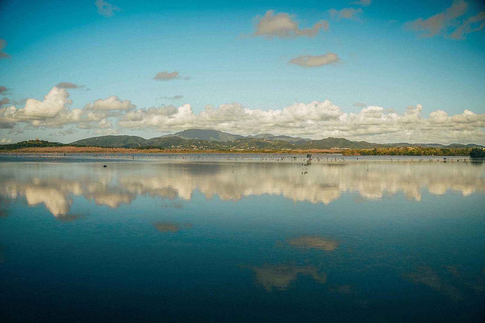 Medio Mundo y Daguao - Para la Naturaleza